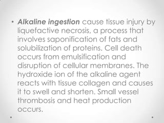 Corrosive alkaline acid | PPT