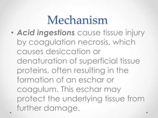 Corrosive alkaline acid | PPTX