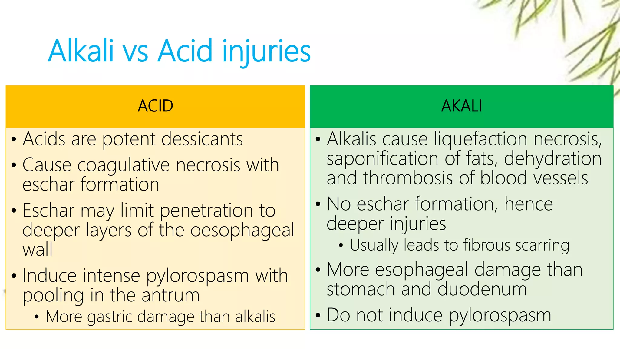 Corrosive esophagitis | PPTX