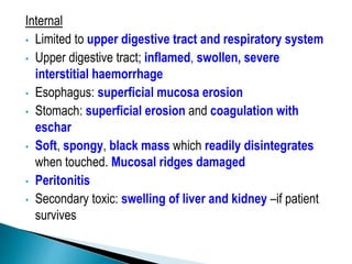 Corrosive poisons (Sulphuric acid) | PPTX
