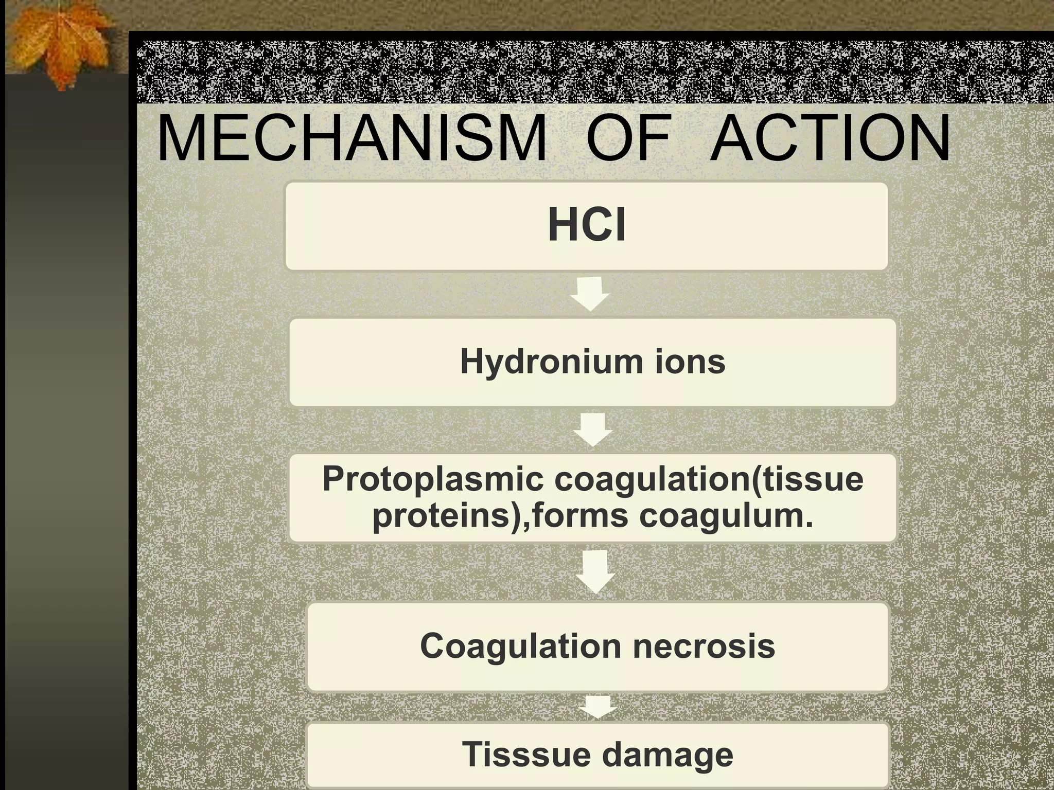 Corrosives/caustics | PPTX
