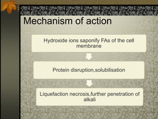 Corrosives/caustics | PPTX