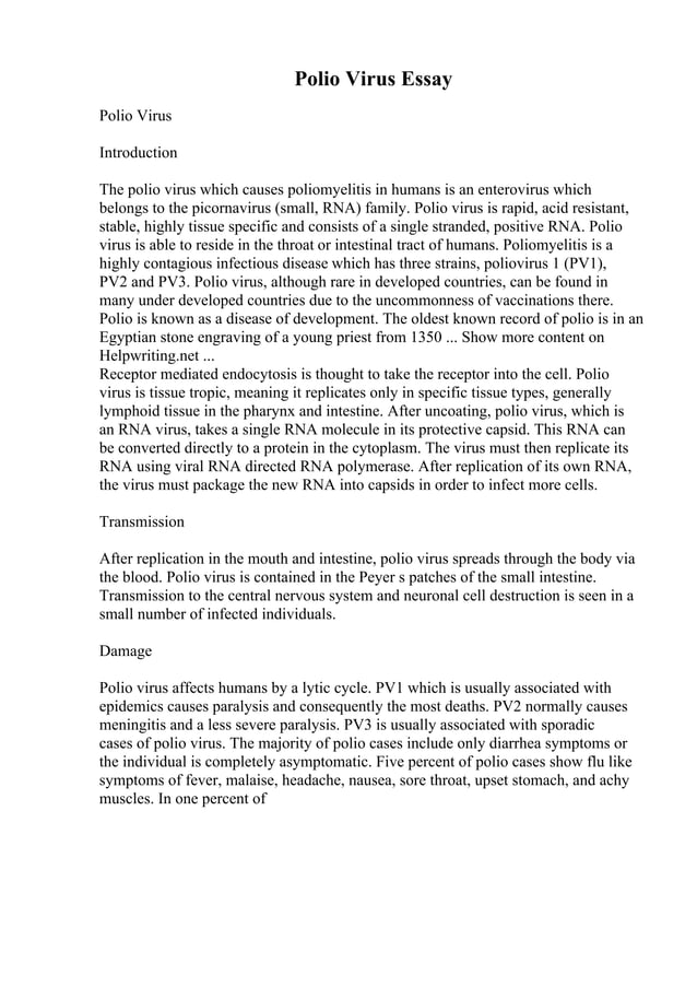 Corruption In India Essay.pdf