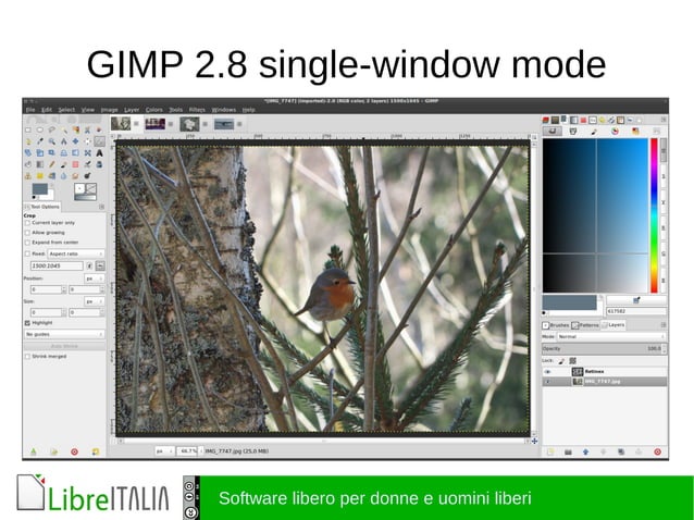 Gimp al liceo scientifico | ODP | Photo Editing Software | Computer Software and Applications