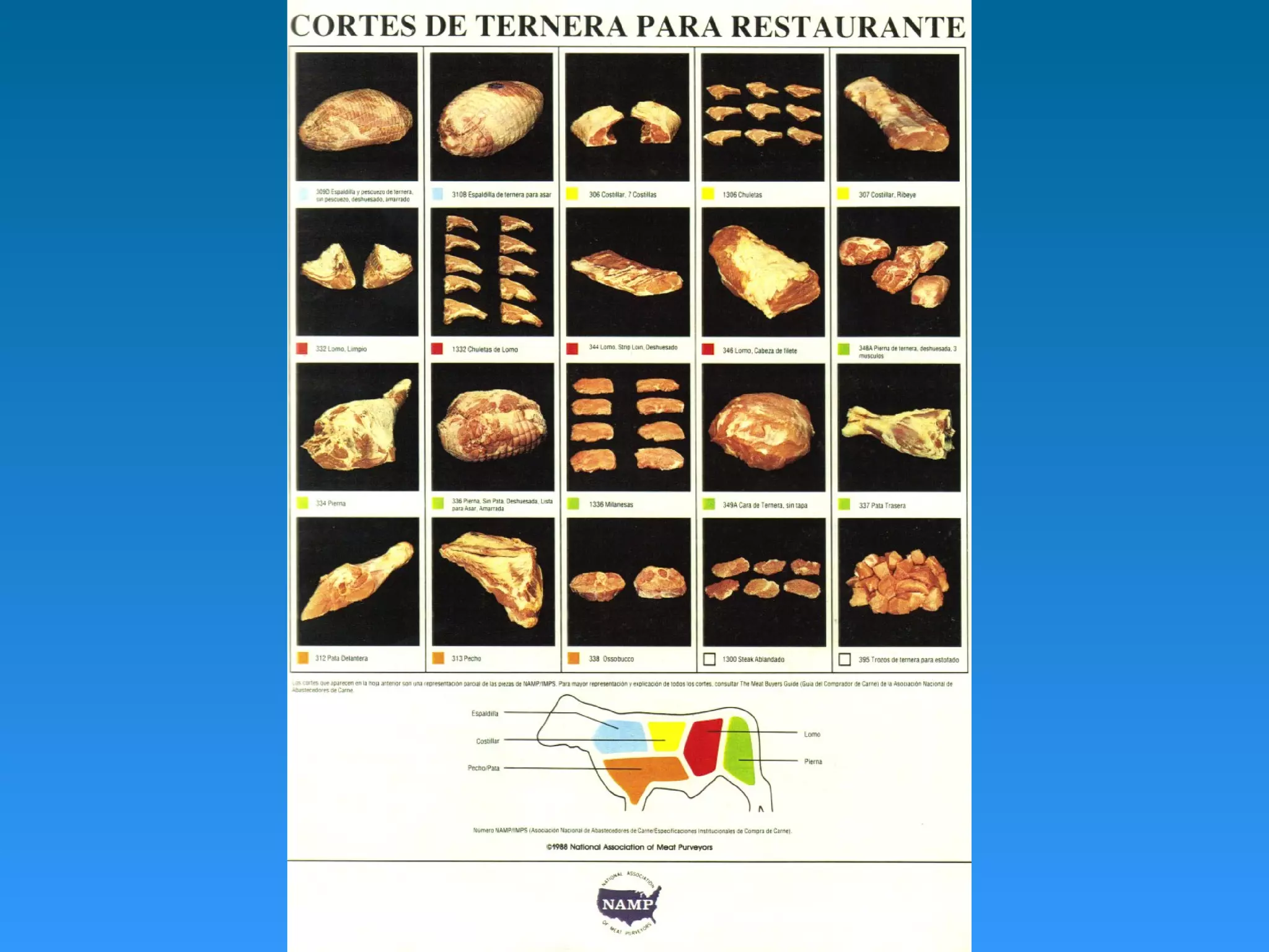 Cortes de aves, res, ternera, cordero y cerdo | PPT