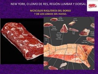 Cortes de carne de vaca | PPTX