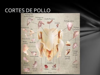 Cortes de pollo | PDF