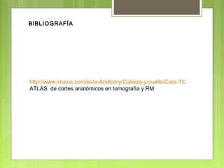 Cortes tomograficos de cabeza | PPT
