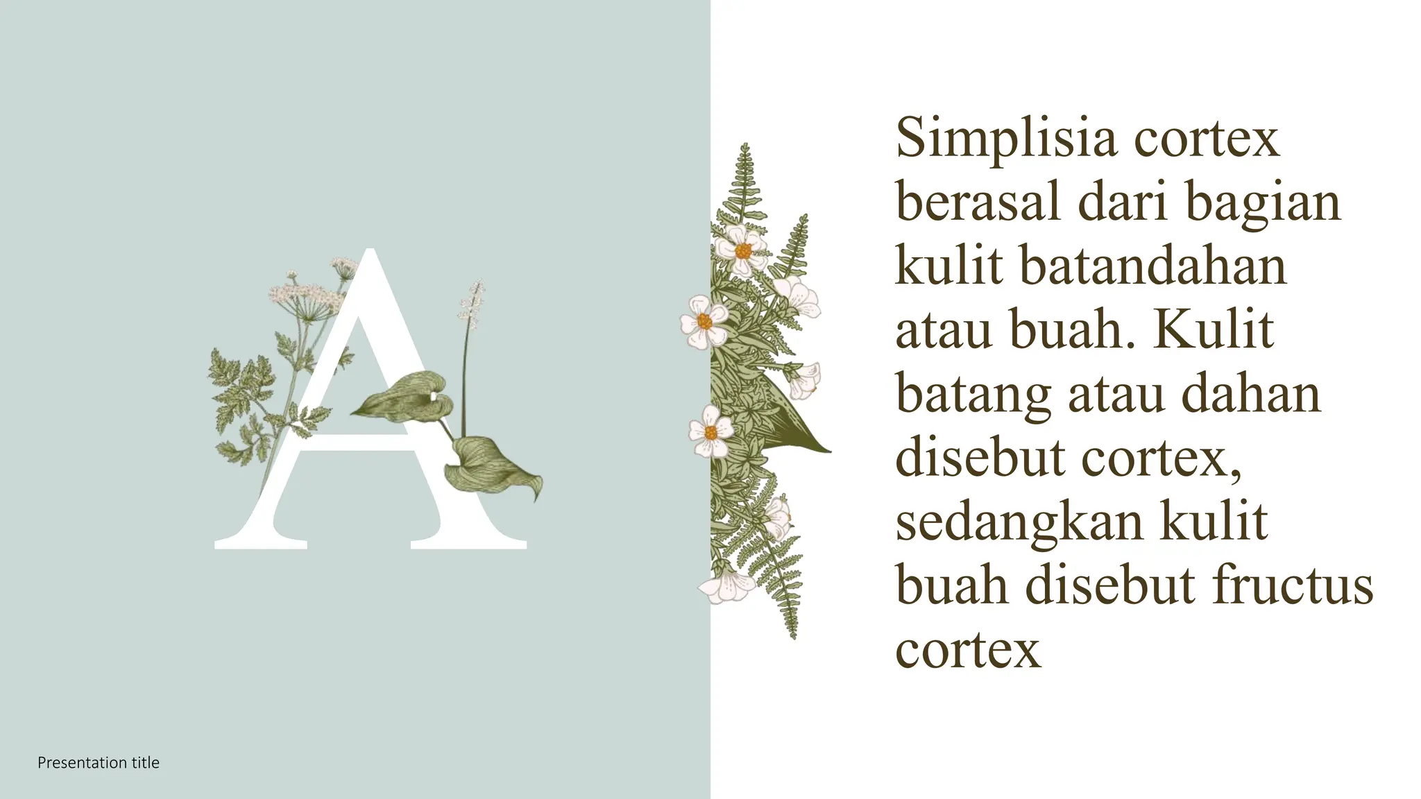 FARMAKOGNOSI DASAR SIMPLISIA CORTEX.pptx