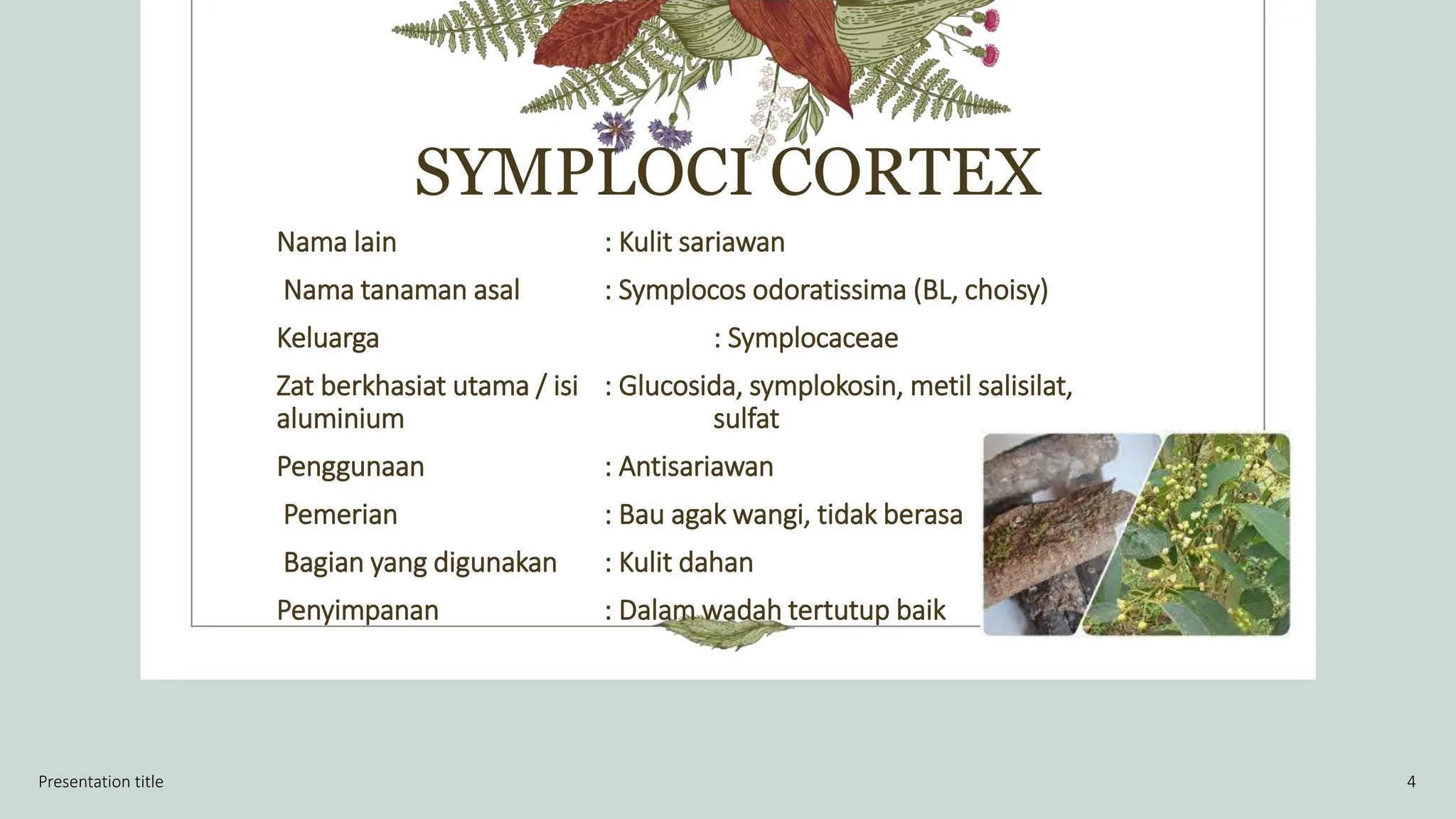 FARMAKOGNOSI DASAR SIMPLISIA CORTEX.pptx