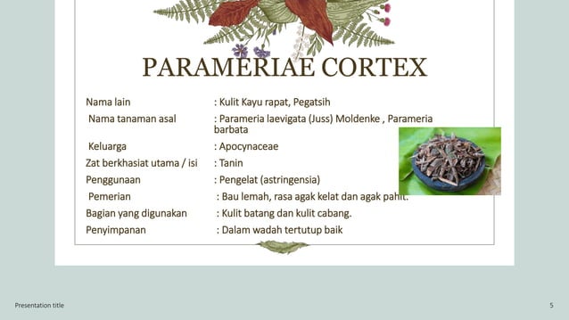 FARMAKOGNOSI DASAR SIMPLISIA CORTEX.pptx