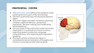 cortex and learning.pptx