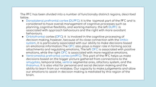cortex and learning.pptx