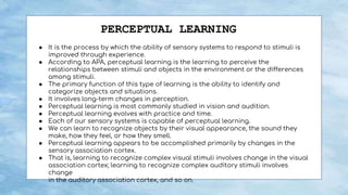 cortex and learning.pptx