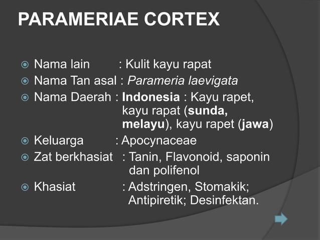 Cortex pptx | PPTX