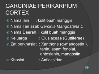 Cortex pptx | PPTX