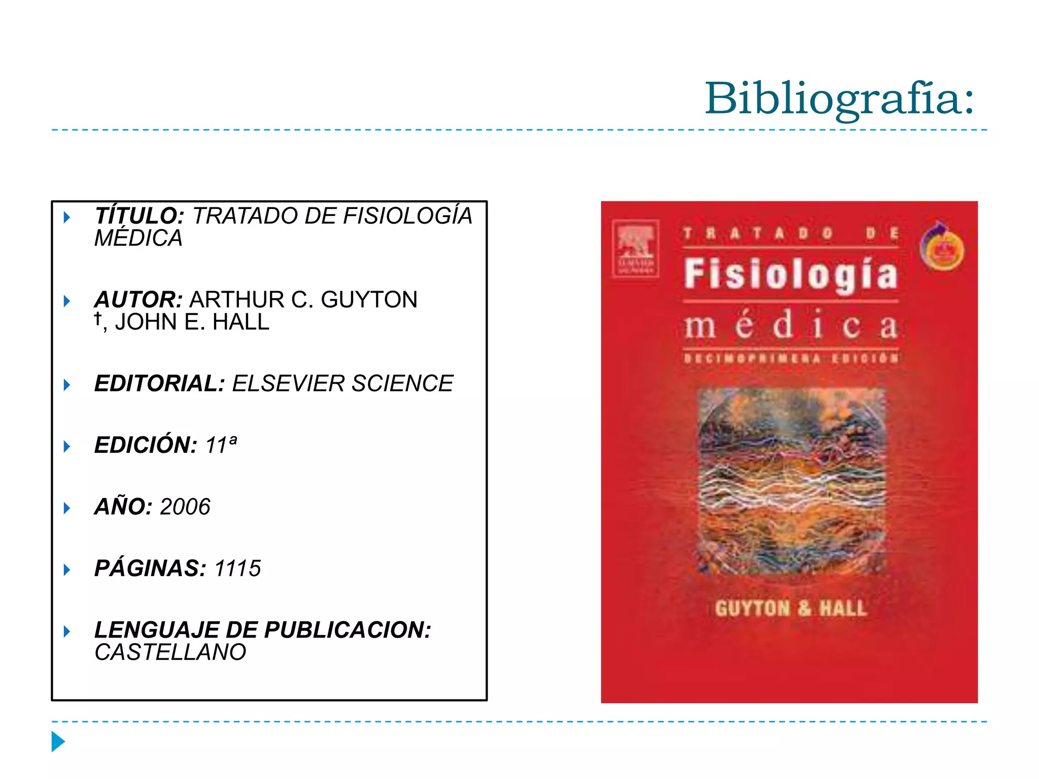 Corteza Cerebral Funciones Intelectuales Del Cerebro Pptx