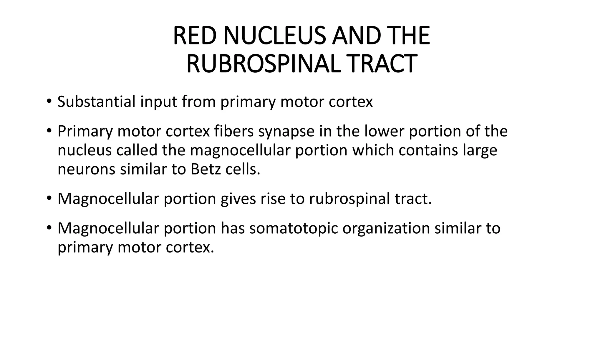 CORTICAL AND BRAINSTEM CONTROL OF MOTOR FUNCTION by prof charles.pptx