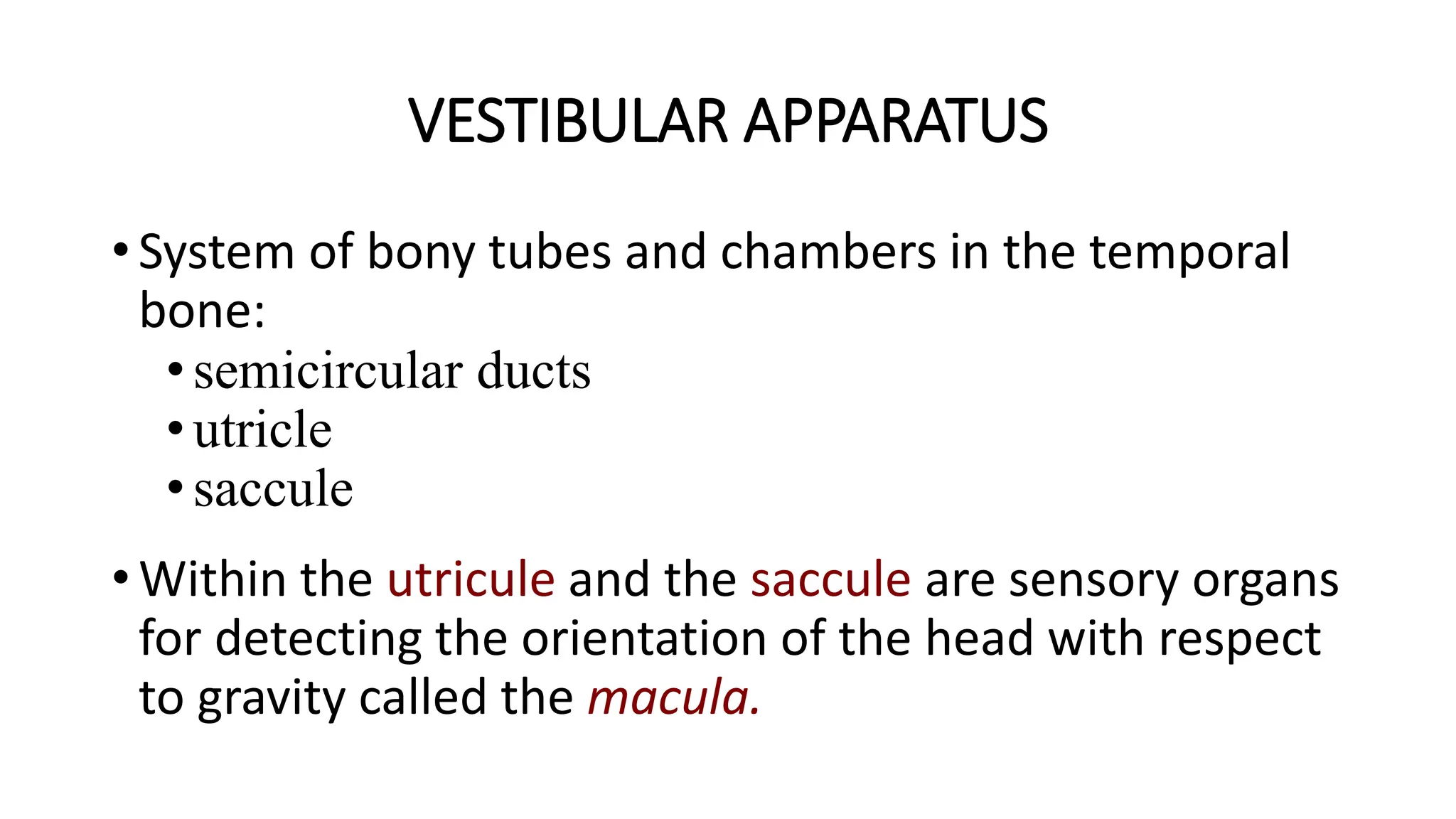 CORTICAL AND BRAINSTEM CONTROL OF MOTOR FUNCTION by prof charles.pptx