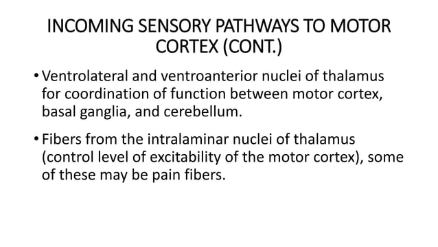 CORTICAL AND BRAINSTEM CONTROL OF MOTOR FUNCTION by prof charles.pptx