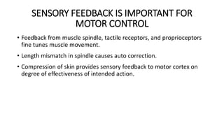 CORTICAL AND BRAINSTEM CONTROL OF MOTOR FUNCTION by prof charles.pptx