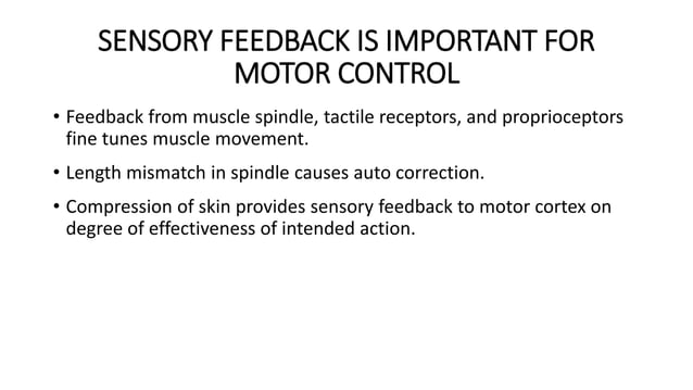 CORTICAL AND BRAINSTEM CONTROL OF MOTOR FUNCTION by prof charles.pptx
