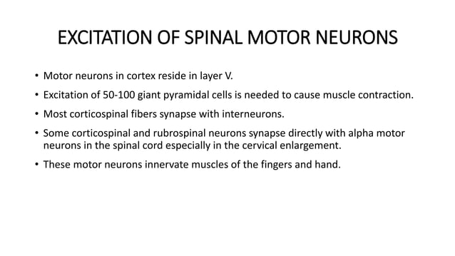 CORTICAL AND BRAINSTEM CONTROL OF MOTOR FUNCTION by prof charles.pptx