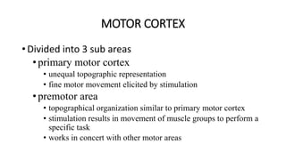 CORTICAL AND BRAINSTEM CONTROL OF MOTOR FUNCTION by prof charles.pptx