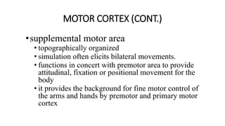 CORTICAL AND BRAINSTEM CONTROL OF MOTOR FUNCTION by prof charles.pptx