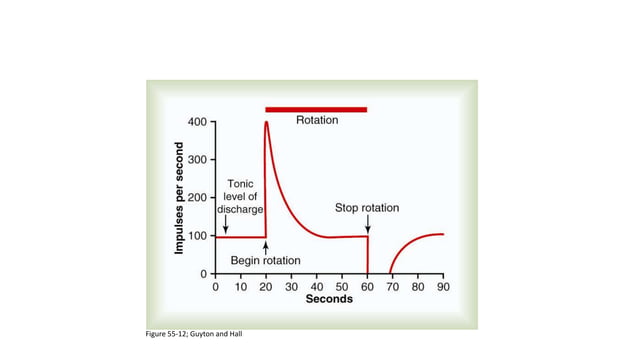 CORTICAL AND BRAINSTEM CONTROL OF MOTOR FUNCTION by prof charles.pptx