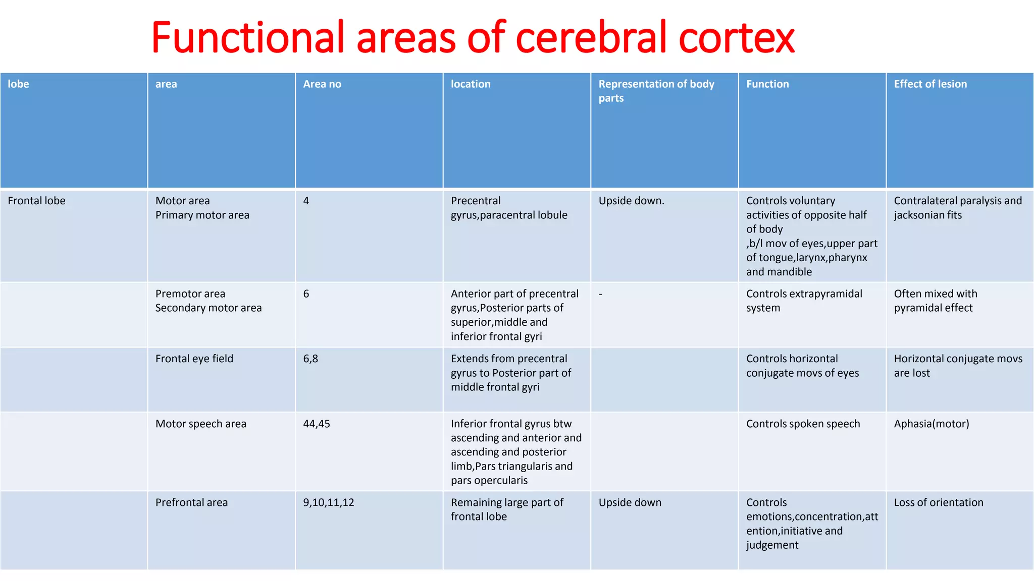 CORTICAL AREAS OF BRAIN.pptx