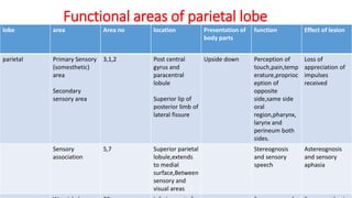 CORTICAL AREAS OF BRAIN.pptx