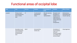 CORTICAL AREAS OF BRAIN.pptx