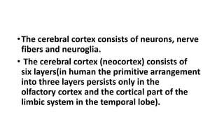 CORTICAL AREAS OF BRAIN.pptx
