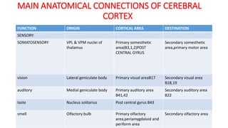 CORTICAL AREAS OF BRAIN.pptx