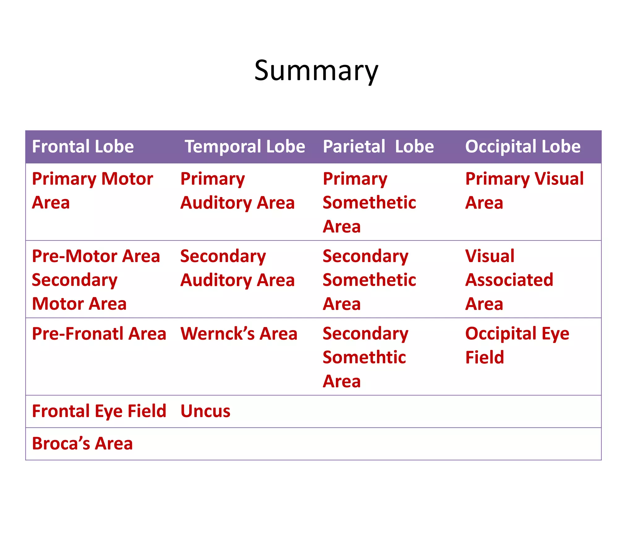 Cortical Blood Supply | PPTX