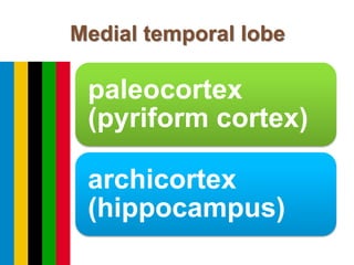 Cortical circuits | PPT