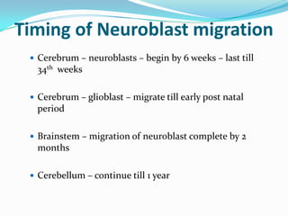 Cortical dysplasia and epilepsy | PPTX