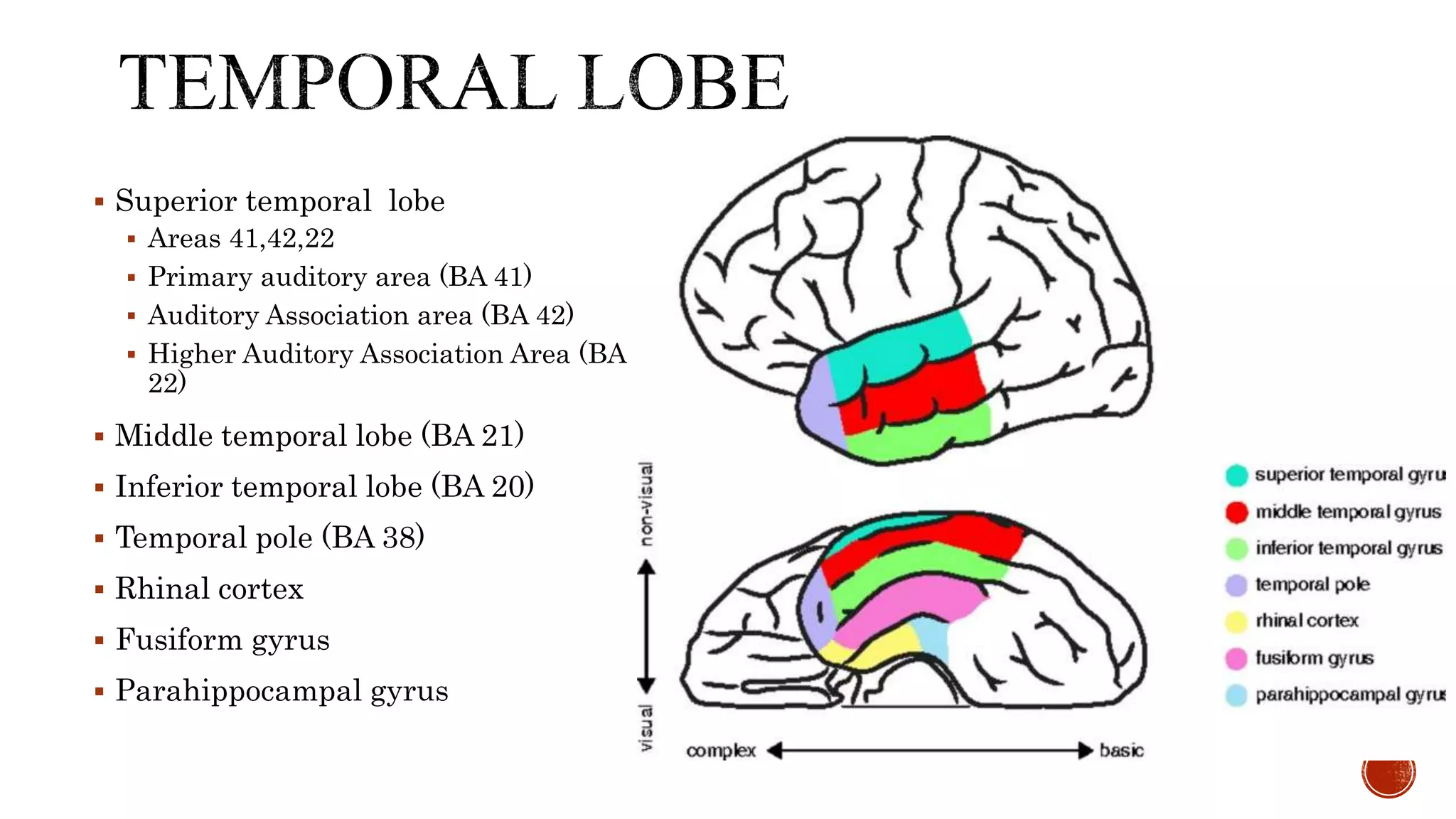 Cortical lobar functions and its implications in psychiatry.pptx