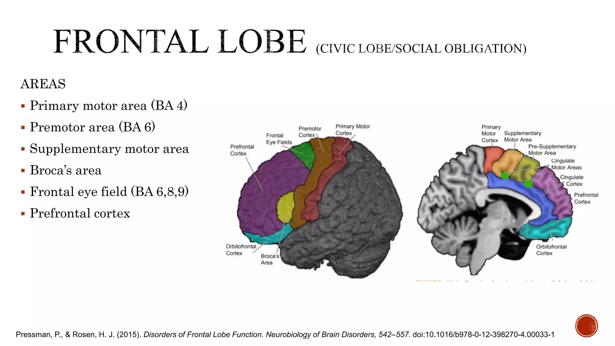 Cortical lobar functions and its implications in psychiatry.pptx