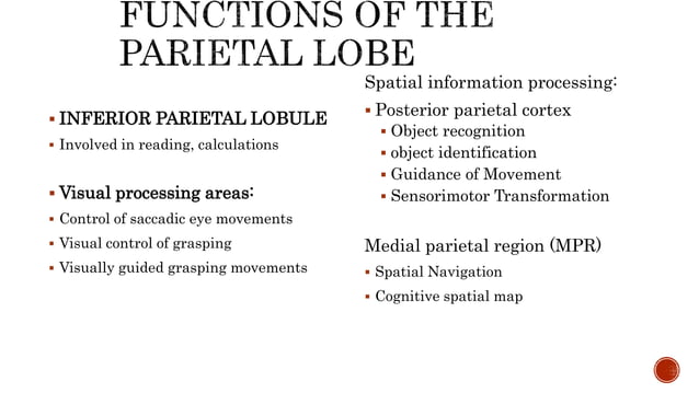 Cortical lobar functions and its implications in psychiatry.pptx | Brain and Nervous System ...