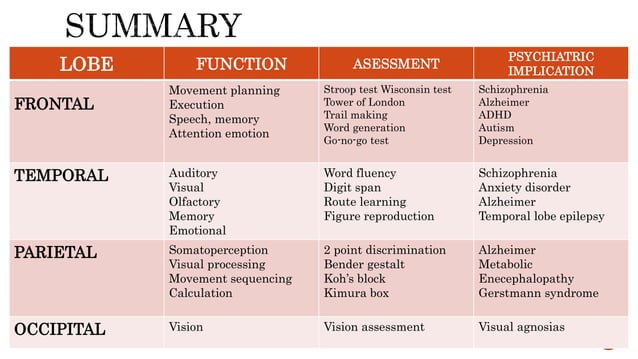Cortical lobar functions and its implications in psychiatry.pptx | Brain and Nervous System ...