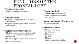 Cortical lobar functions and its implications in psychiatry.pptx
