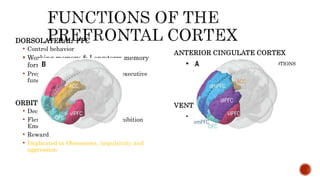 Cortical lobar functions and its implications in psychiatry.pptx