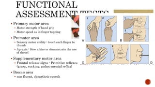 Cortical lobar functions and its implications in psychiatry.pptx