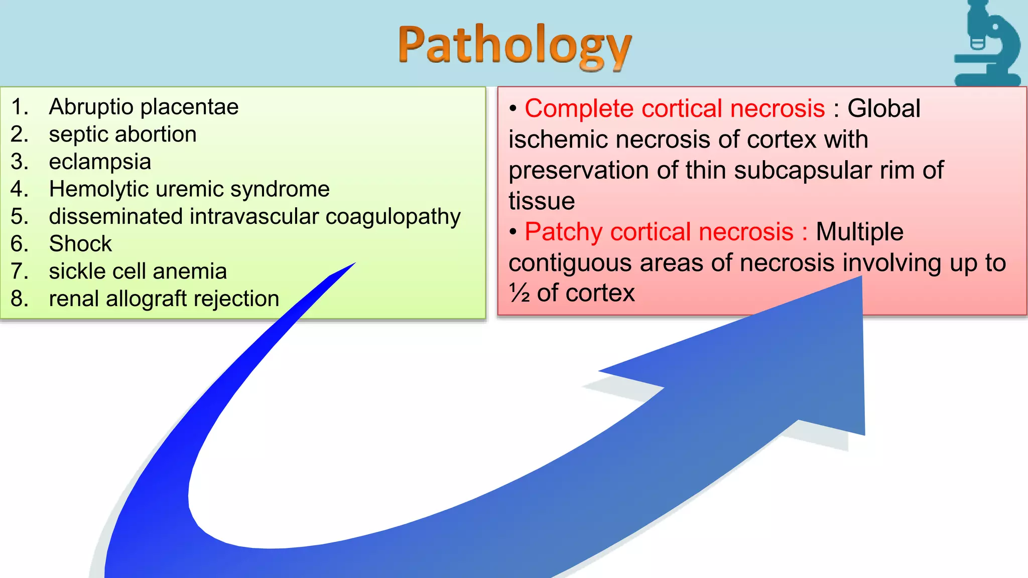 acute cortical renal necrosis | PPTX