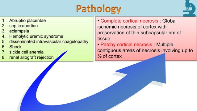 acute cortical renal necrosis | PPTX | Blood Disorders | Diseases and ...