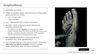 Cortical sensations | PPTX