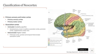 Cortical sensations | PPTX