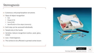 Cortical sensations | PPTX